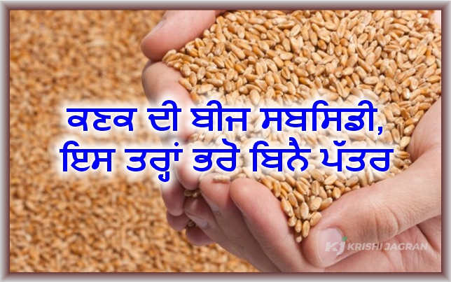 Government Subsidy: ਕਣਕ ਦੇ ਬੀਜ ਦੀ ਸਬਸਿਡੀ ਦੀ ਵੰਡ ਪਾਲਿਸੀ, ਇਸ ਤਰ੍ਹਾਂ ਭਰੋ ...