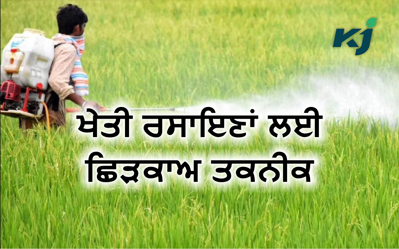 ਕੀੜੇ-ਮਕੌੜੇ, ਬਿਮਾਰੀਆਂ ਤੇ ਨਦੀਨਾਂ ਦੀ ਰੋਕਥਾਮ ਲਈ ਛਿੜਕਾਅ ਦਾ ਸਹੀ ਢੰਗ - Correct ...