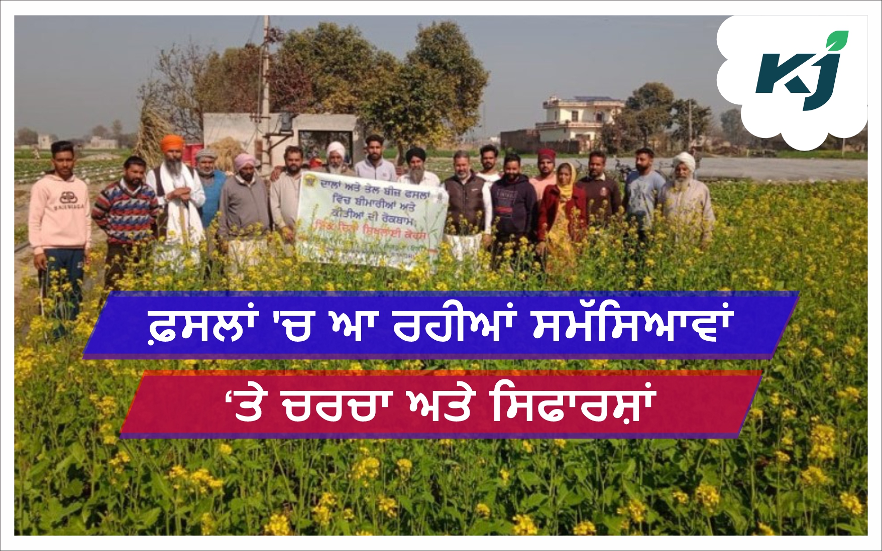 Rabi Crops: ਹਾੜੀ ਦੇ ਤੇਲ ਬੀਜਾਂ-ਦਾਲਾਂ ਵਿੱਚ ਕੀੜੇ-ਮਕੌੜੇ ਤੇ ਬਿਮਾਰੀਆਂ ਪ੍ਰਬੰਧਨ ...