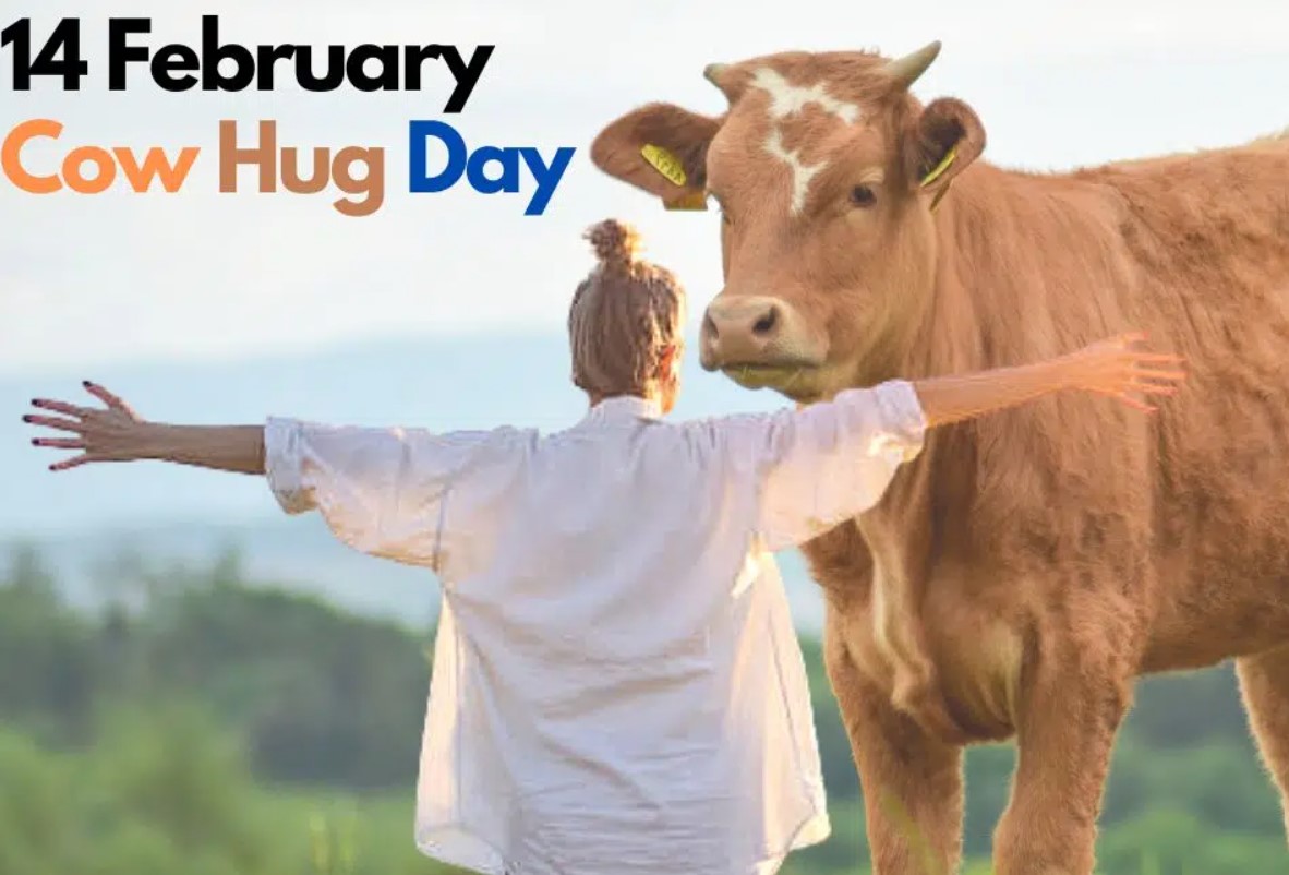 14 February ਨੂੰ ਨਹੀਂ ਮਨਾਇਆ ਜਾਵੇਗਾ 'Cow Hug Day', ਅਪੀਲ ਵਾਪਸ - 'Cow Hug Day' will not be ...