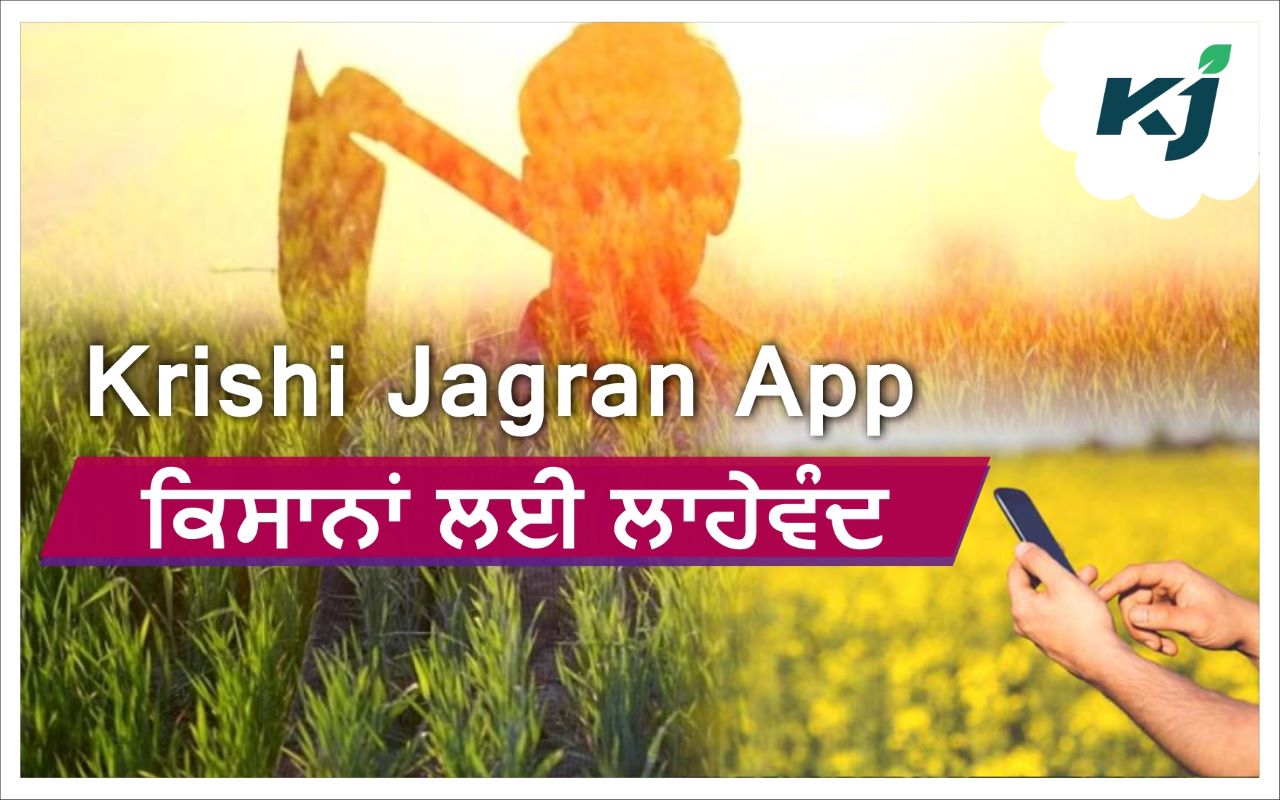 Krishi Jagran App: ਖੇਤੀਬਾੜੀ ਨਾਲ ਸਬੰਧਤ ਤਾਜ਼ਾ ਖ਼ਬਰਾਂ ਲਈ ਵਧੀਆ ਐਪ, ਹੁਣੇ ਕਰੋ ਡਾਊਨਲੋਡ - Krishi Jagran ...