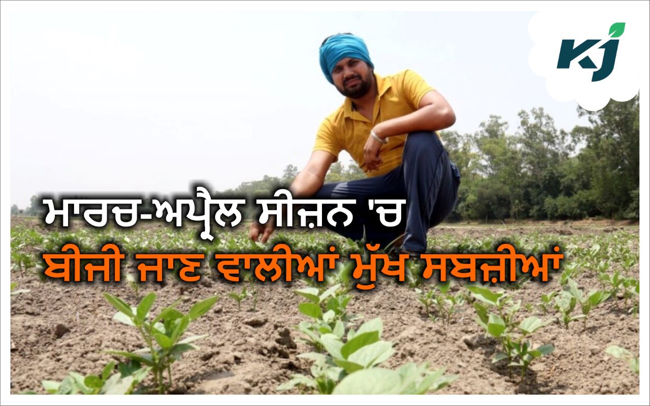 March-April Season 'ਚ ਬੀਜੀਆਂ ਜਾਣ ਵਾਲੀਆਂ ਮੁੱਖ ਸਬਜ਼ੀਆਂ ਅਤੇ ਉਨ੍ਹਾਂ ਦੀਆਂ ...