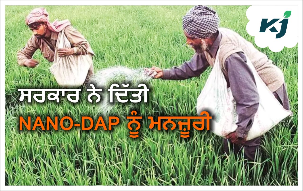 Good News: ਹੁਣ 500 ਤੋਂ 600 ਰੁਪਏ 'ਚ ਮਿਲੇਗੀ NANO-DAP, ਕਿਸਾਨਾਂ ਨੂੰ ਹੋਵੇਗਾ ...