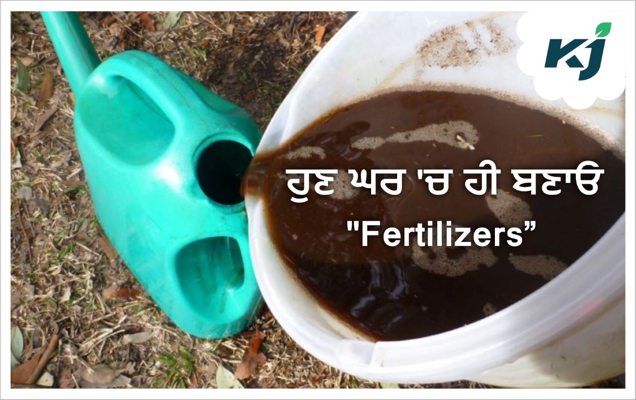 ਘਰ 'ਚ ਹੀ ਬਣਾਓ ਇਹ 3 ਤਰ੍ਹਾਂ ਦੀ ਅਨੋਖੀ Fertilizer, ਜਾਣੋ ਆਸਾਨ ਤਰੀਕਾ - Make ...