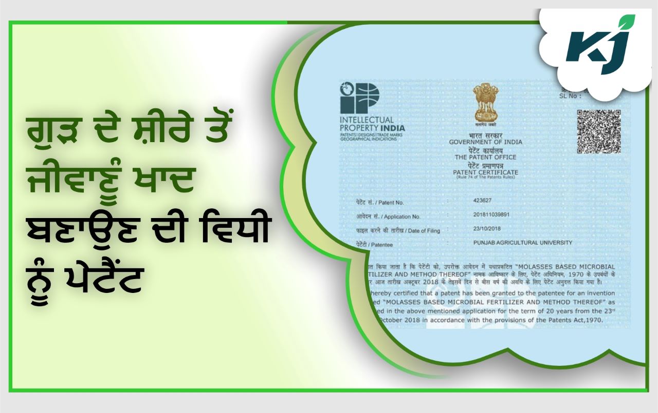 Good News: PAU ਨੂੰ ਗੁੜ ਦੇ ਸ਼ੀਰੇ ਤੋਂ ਜੀਵਾਣੂੰ ਖਾਦ ਬਣਾਉਣ ਦੀ ਵਿਧੀ ਨੂੰ ਮਿਲਿਆ ...