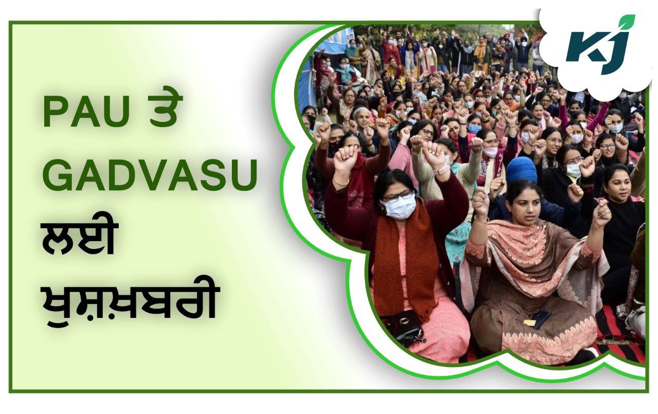 PAU ਅਤੇ GADVASU ਦੇ ਟੀਚਿੰਗ ਸਟਾਫ਼ ਲਈ GOOD NEWS, UGC ਸਕੇਲ ਲਾਗੂ ਕਰਨ ਨੂੰ ...