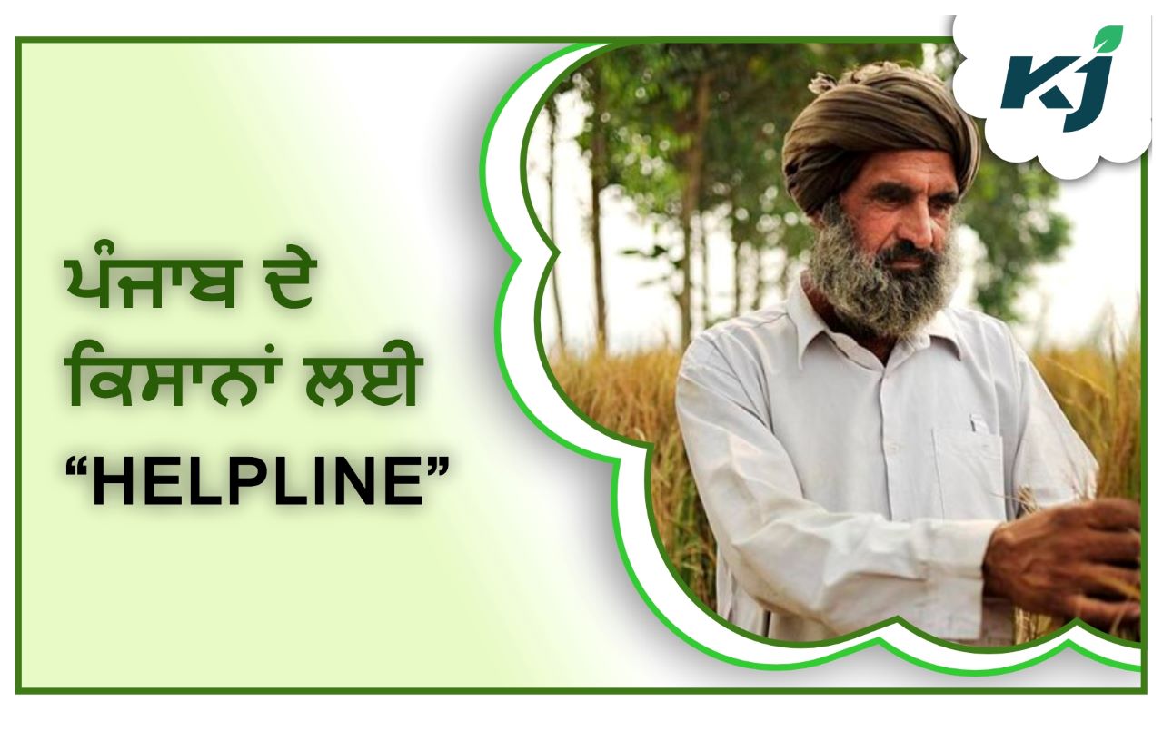 ਪੰਜਾਬ ਦੇ ਕਿਸਾਨਾਂ ਲਈ "HELPLINE" ਸੇਵਾ ਸ਼ੁਰੂ, 93093... ਨੰਬਰ ਤੇ ਕਰੋ ...