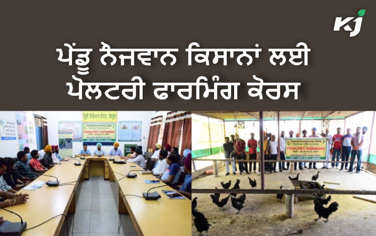 Poultry Farming 'ਤੇ ਪੰਜ ਰੋਜ਼ਾ Vocational Training Course - Five day ...