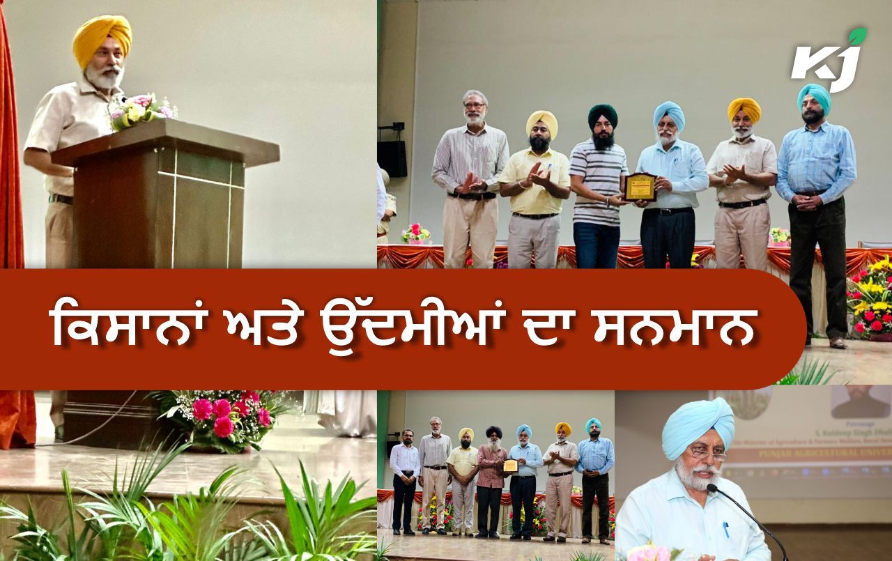 Millet Business ਲਈ ਕਿਸਾਨਾਂ ਅਤੇ ਉੱਦਮੀਆਂ ਦਾ ਸਨਮਾਨ - Farmers and ...