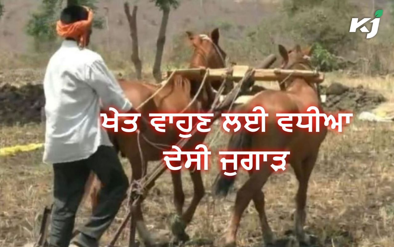 ਪੈਸੇ ਦੀ ਕਮੀ ਕਾਰਨ ਕਿਸਾਨ ਨੇ ਖੇਤ ਵਿੱਚ ਅਪਣਾਇਆ ਇਹ Desi Jugaad - Due to lack of money, farmers adopted ...