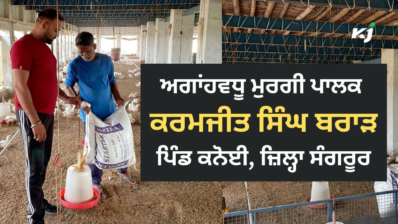 Sangrur ਦਾ Progressive Poultry Farmer ਕਰਮਜੀਤ ਸਿੰਘ ਬਰਾੜ ਬਣਿਆ ਮਿਸਾਲ, ਦੇਖੋ ਕਿਵੇਂ ਤਹਿ ਕੀਤਾ ...