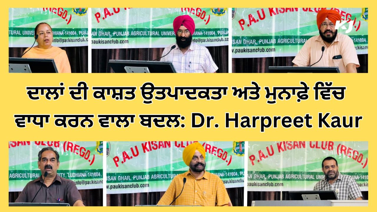 ਦਾਲਾਂ ਦੀ ਕਾਸ਼ਤ ਉਤਪਾਦਕਤਾ ਅਤੇ ਮੁਨਾਫ਼ੇ ਵਿੱਚ ਵਾਧਾ ਕਰਨ ਵਾਲਾ ਬਦਲ: Dr. Harpreet Kaur - Cultivation of ...