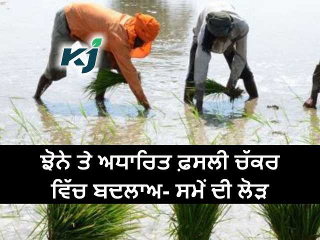 ਝੋਨੇ ਤੇ ਅਧਾਰਿਤ ਫ਼ਸਲੀ ਚੱਕਰ ਵਿੱਚ ਬਦਲਾਅ- ਸਮੇਂ ਦੀ ਲੋੜ - Changes in Paddy ...
