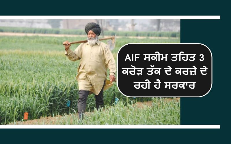 Agri Infra Fund: AIF ਸਕੀਮ ਤਹਿਤ 3 ਕਰੋੜ ਤੱਕ ਦੇ ਕਰਜ਼ੇ ਦੇ ਰਹੀ ਹੈ ਸਰਕਾਰ ...