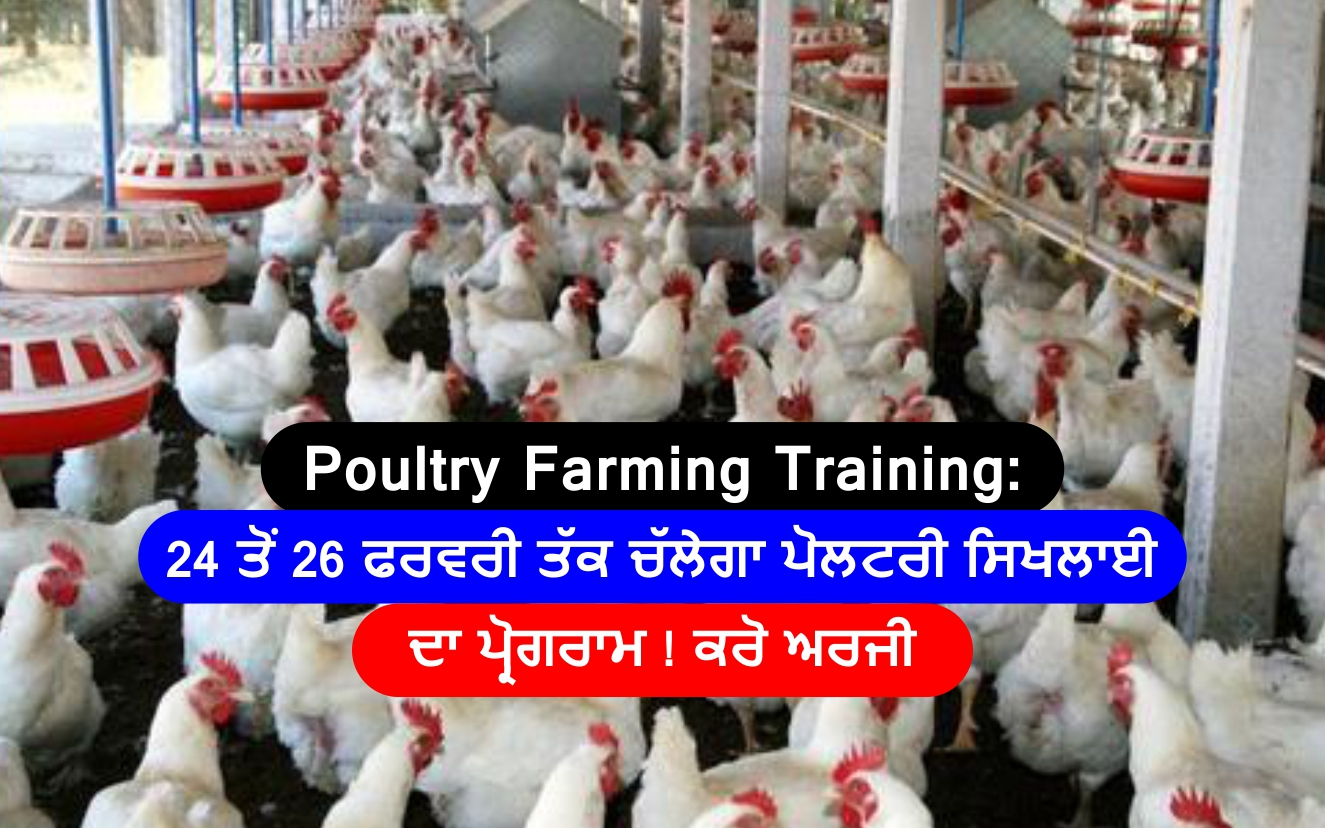 Poultry Farming Training: 24 ਤੋਂ 26 ਫਰਵਰੀ ਤੱਕ ਚੱਲੇਗਾ ਪੋਲਟਰੀ ਸਿਖਲਾਈ ਦਾ ...