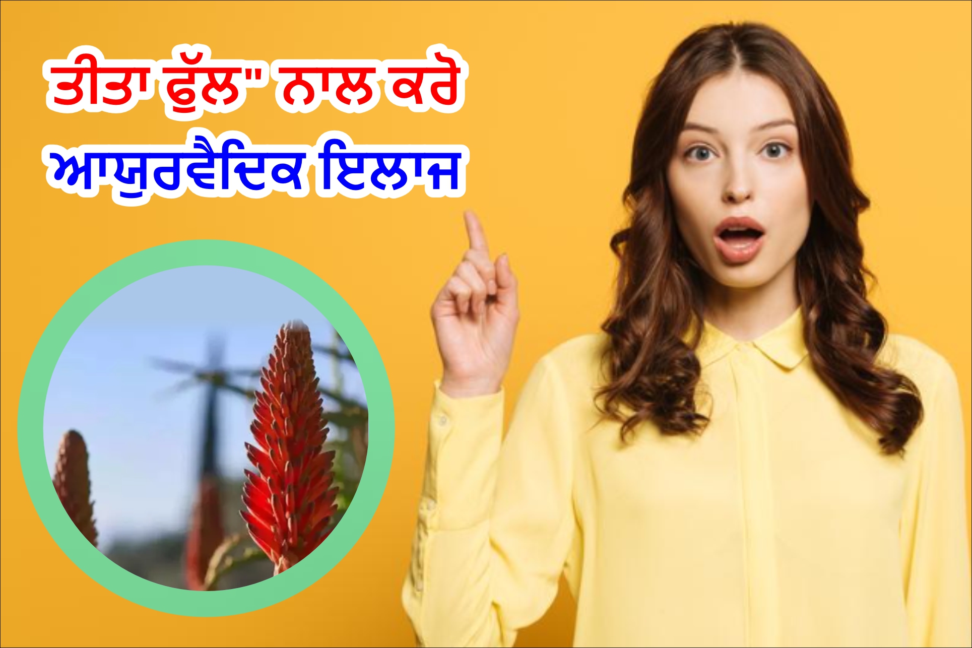 Teeta Flower : ਤੀਤਾ ਫੁੱਲ ਬਣਿਆ ਸੰਜੀਵਨੀ ਬੂਟੀ! ਜਾਣੋ ਇਸਦੇ ਫਾਇਦੇ! - Teeta ...
