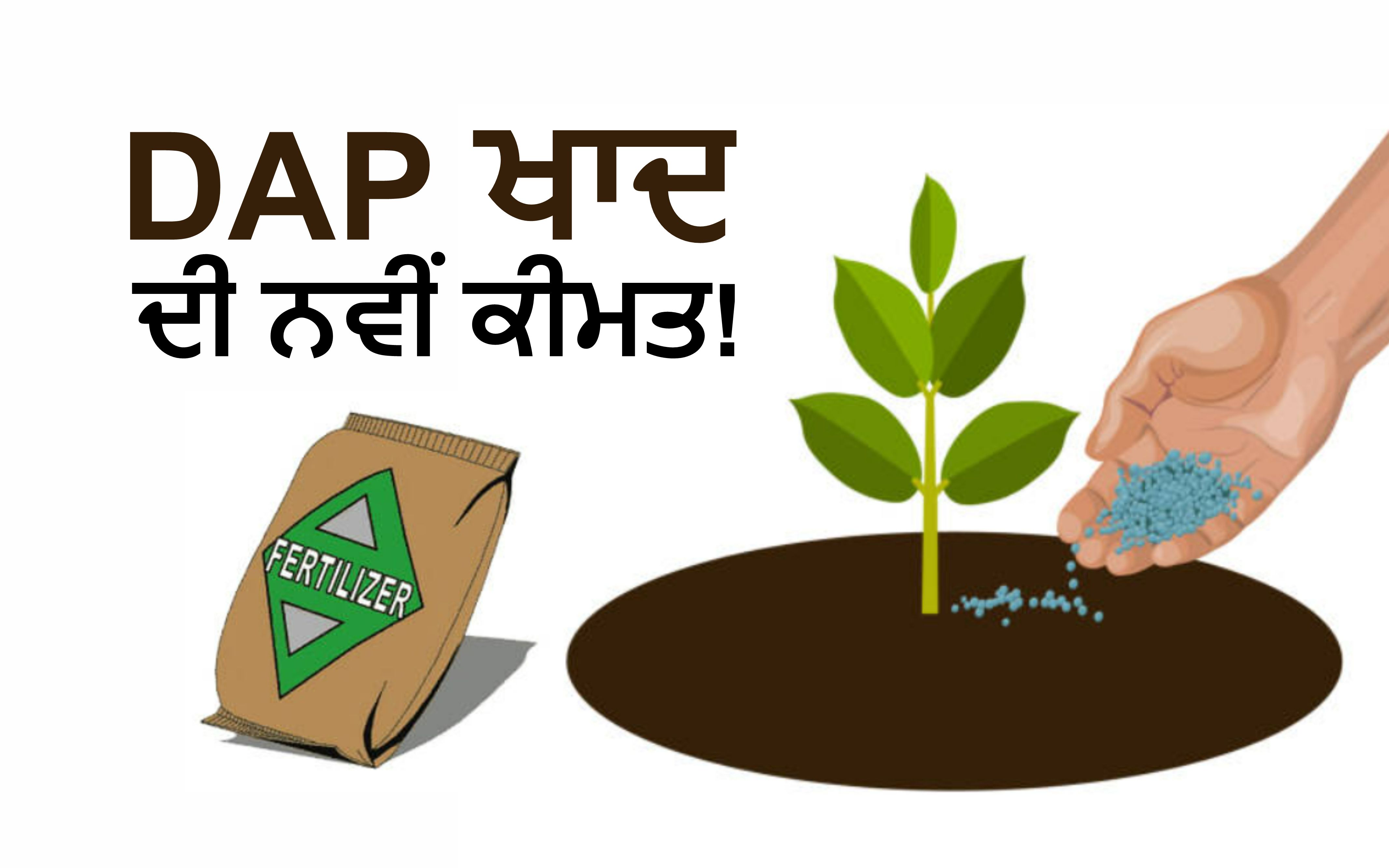 DAP Fertilizer Price: ਹੁਣ ਕਿਸ ਰੇਟ 'ਤੇ ਮਿਲੇਗੀ DAP ਖਾਦ ਦੀ ਬੋਰੀ! ਜਾਣੋ ਨਵੀਂ ...